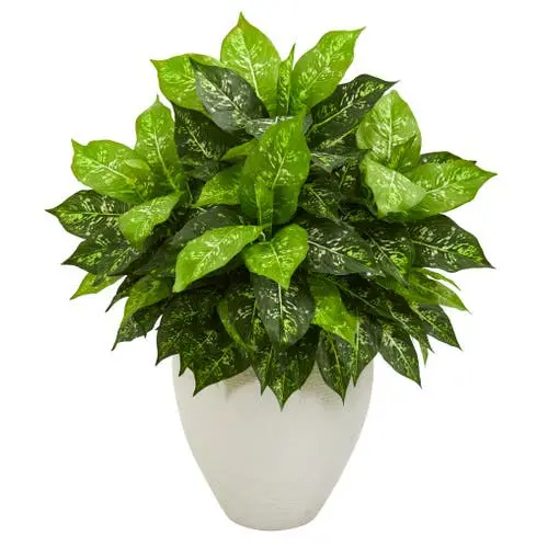 NEARLY NATURAL Dieffenbachia Artificial Plant In White Planter - Green