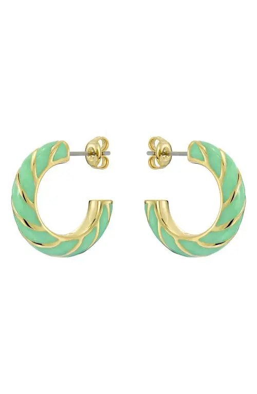 Ted Baker London Tiffany Twist Enamel Hoop Earrings