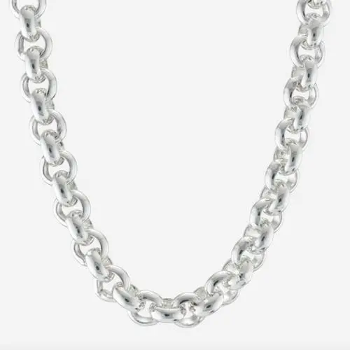 AMY KAHN Wide Round Belcher Chain Necklace - Silver