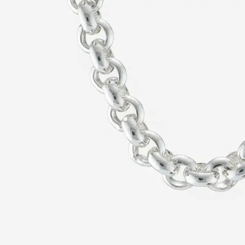 AMY KAHN Wide Round Belcher Chain Necklace