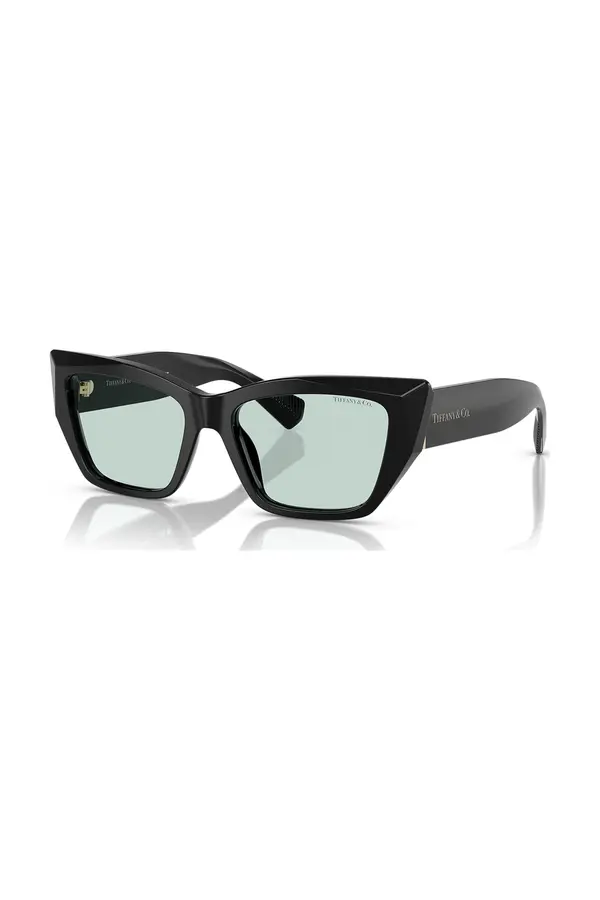 TIFFANY SUNGLASS HUT Sunglasses With Acetate Frame - Black