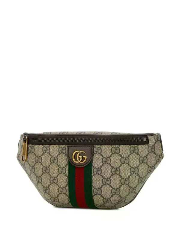 Gucci Small Ophidia Belt Bag