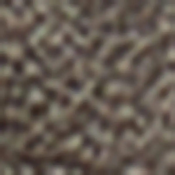 Max Mara Leather Woven Belt - Brown