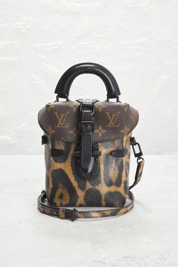 LOUIS VUITTON Monogram Wild Animal Camera Box