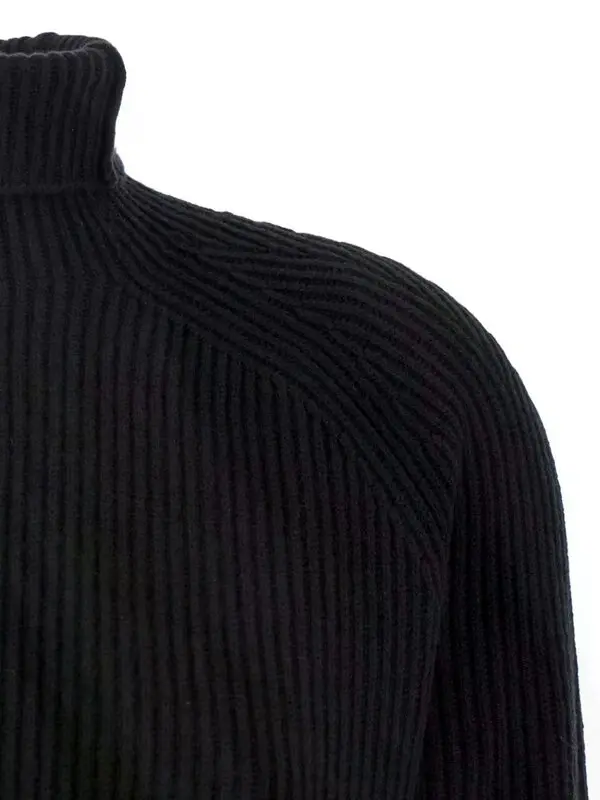 Max Mara Ribbed Turtleneck Dress