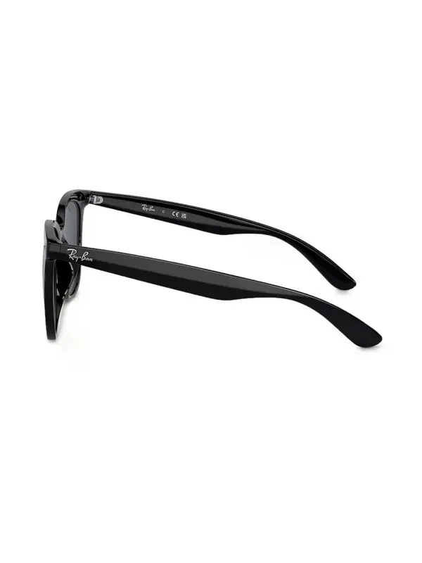 Ray-ban Sunglasses