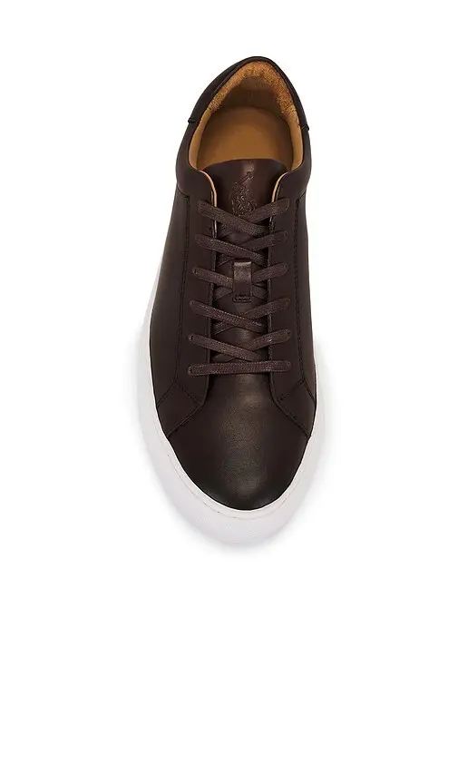 Polo Ralph Lauren Jermain Ii Leather Sneakers - Brown