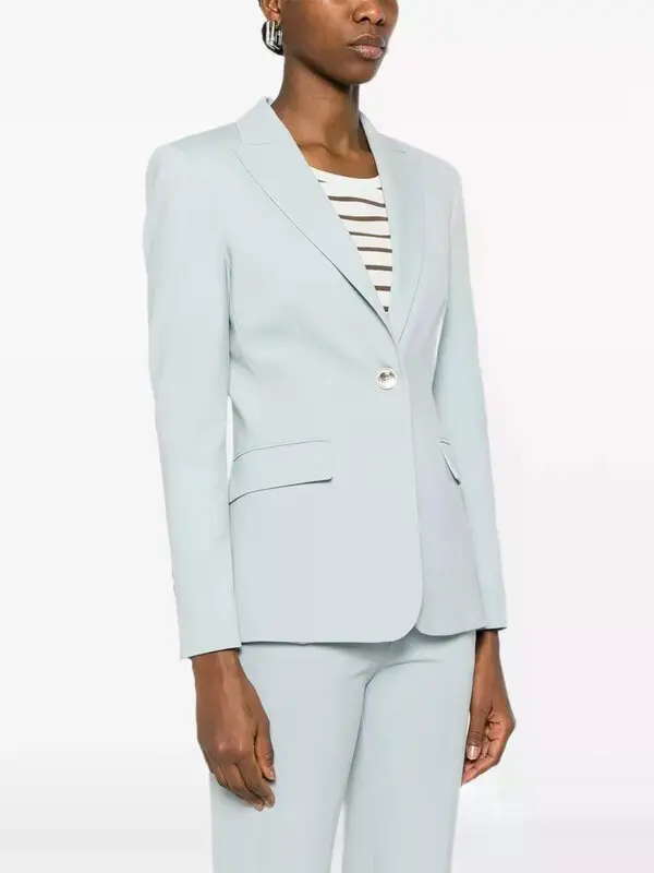 Pinko Notched Lapels Single-breasted Blazer