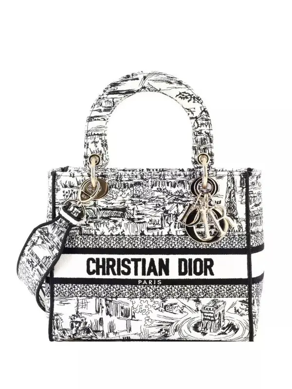 Dior Lady D-lite Embroidered Canvas Satchel - Multicolour