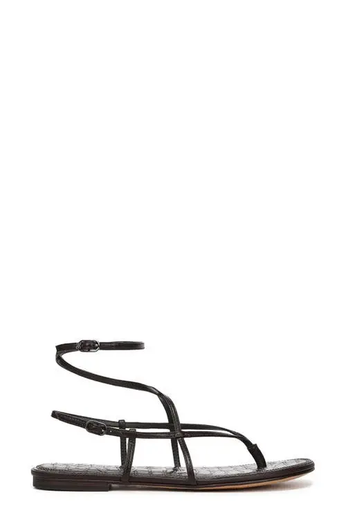 Sam Edelman Clarra Strappy Sandal - Cafe Noir