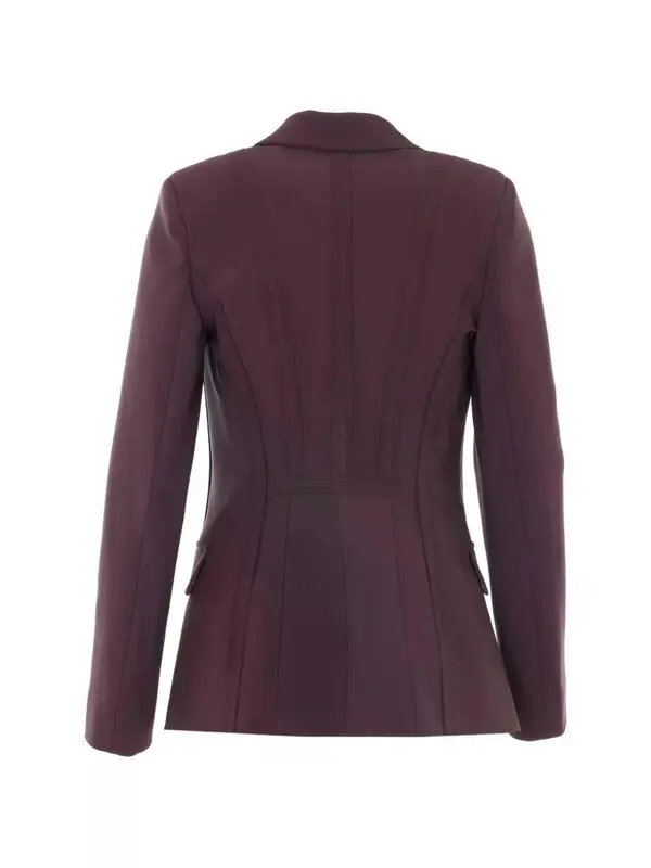 Elisabetta Franchi Double-breasted Jacket