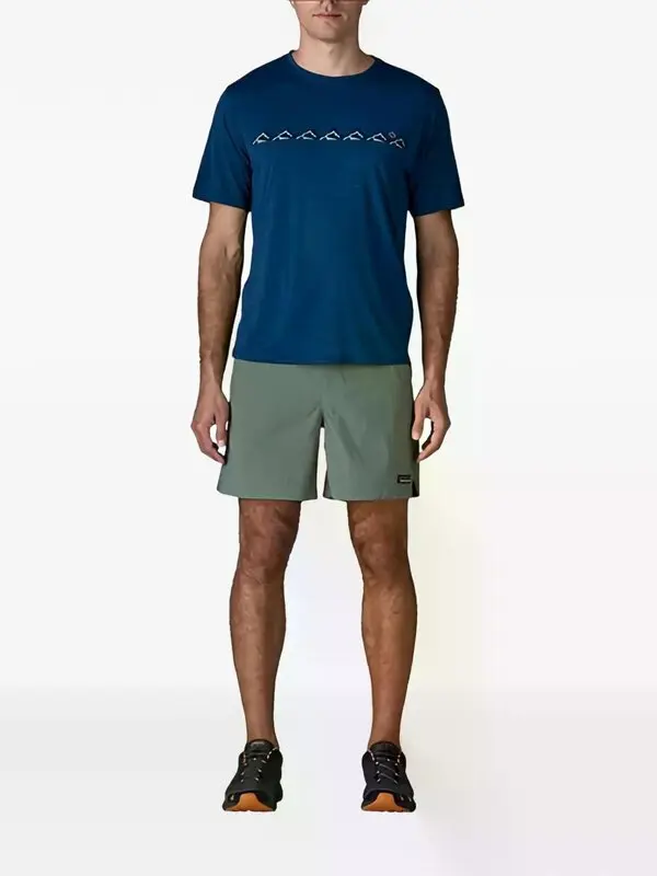 Patagonia Baggies™ Lights Logo Shorts