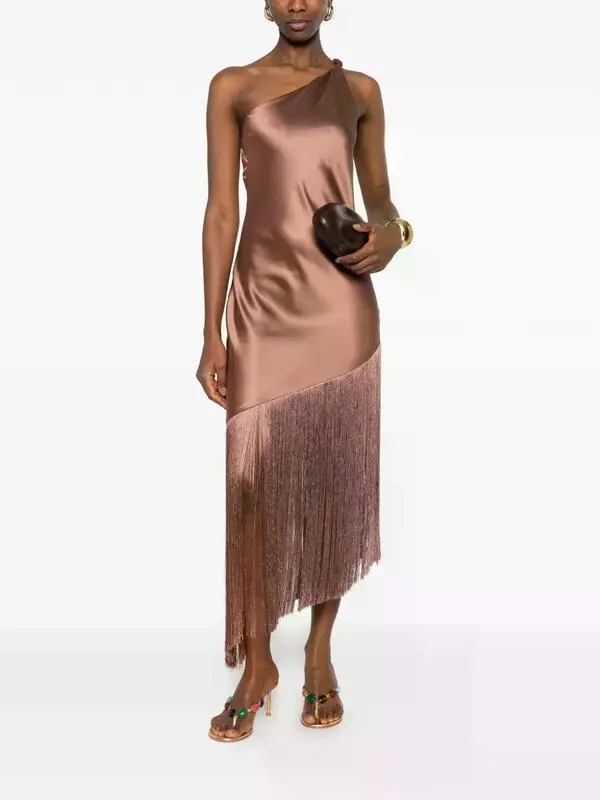 Pinko One-shoulder Fringed Dress - Brown