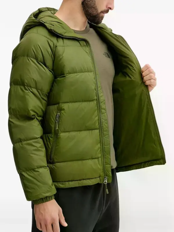 The North Face Hooded Puffer Jacket