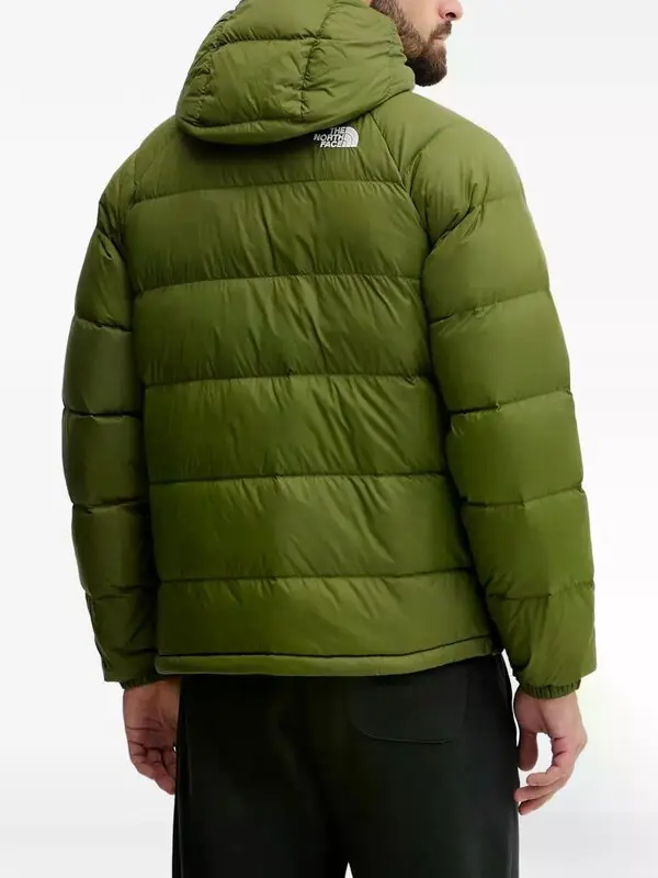 The North Face Hooded Puffer Jacket