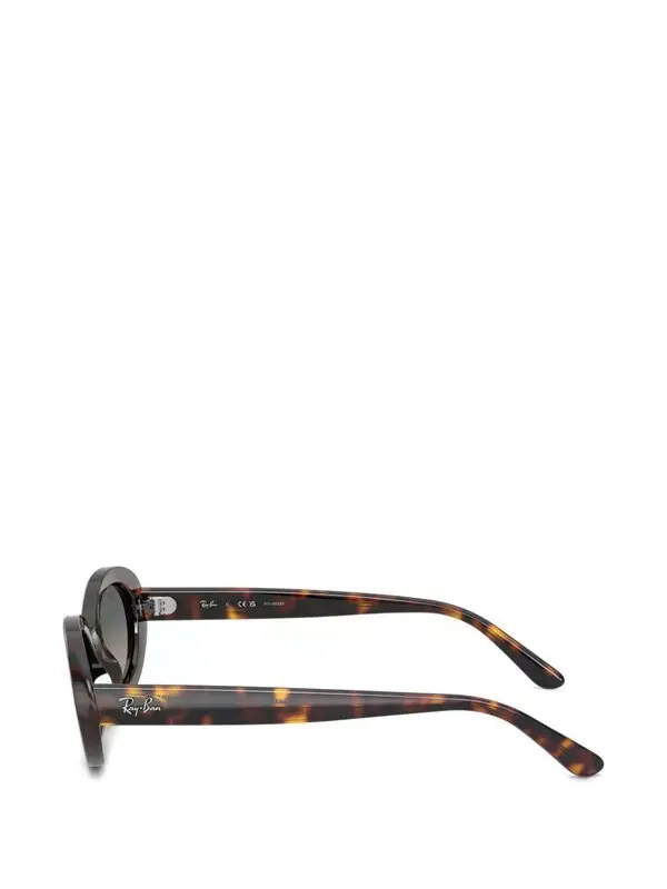 Ray-ban Oval Frame Sunglasses - Brown