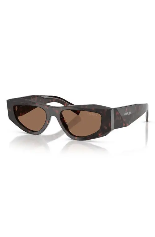 Prada 53mm Pillow Sunglasses - Root Tortoise/dark Brown