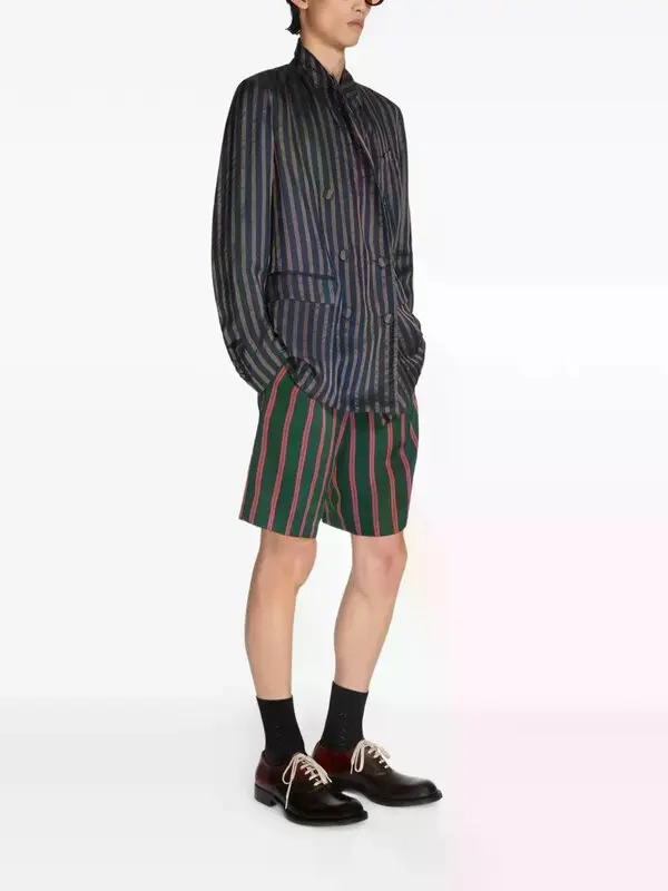 Dries Van Noten Striped Double-breasted Blazer