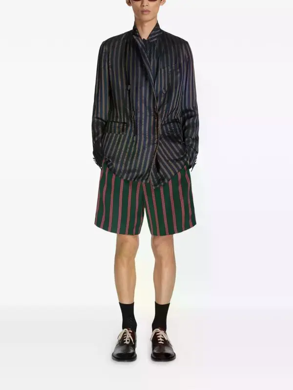 Dries Van Noten Striped Double-breasted Blazer