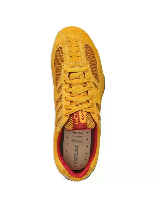 Geox Low-top Sneakers