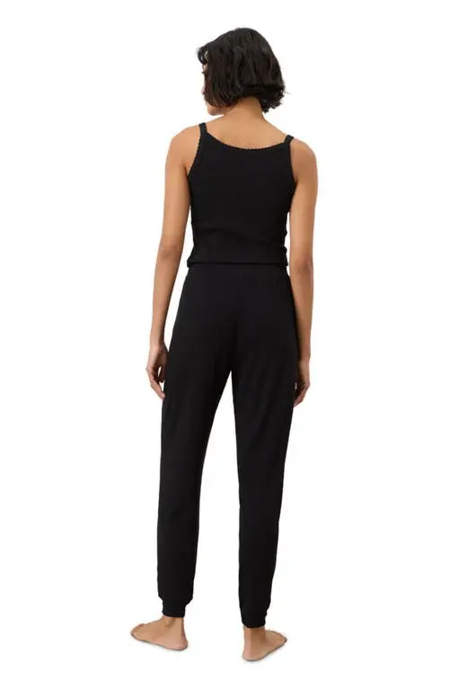 PACT Dream Rib Jogger In Organic Cotton