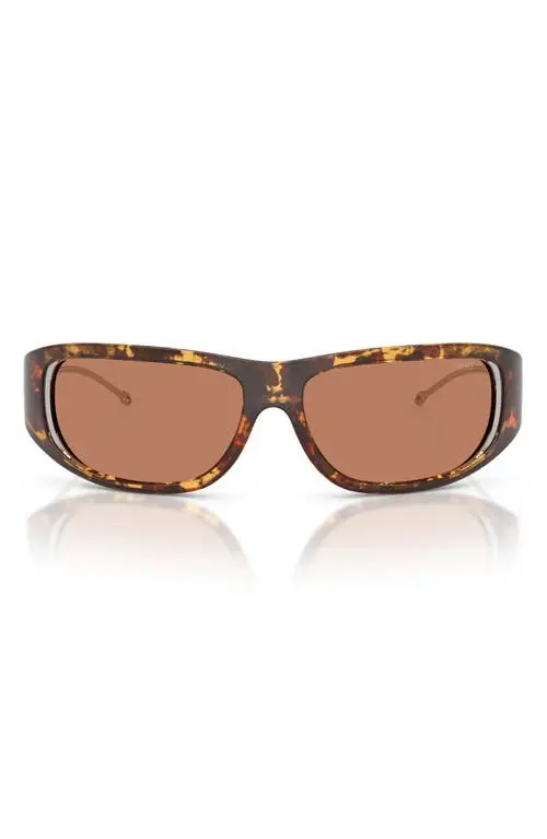 DIESEL® Dl3001 Geck-d 61mm Oval Sunglasses - Havana/light Brown