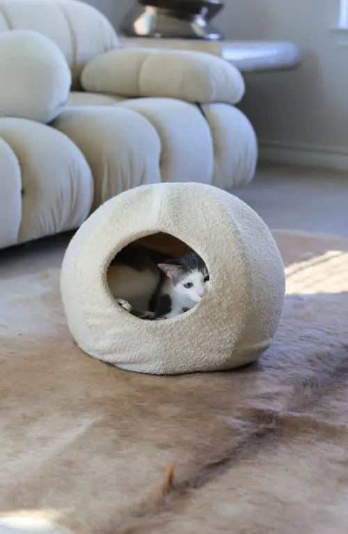CATENARY Moon Pet Cave