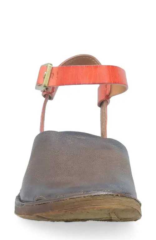 A.S.98 Rodrick Ankle Strap Flat - Chocolate
