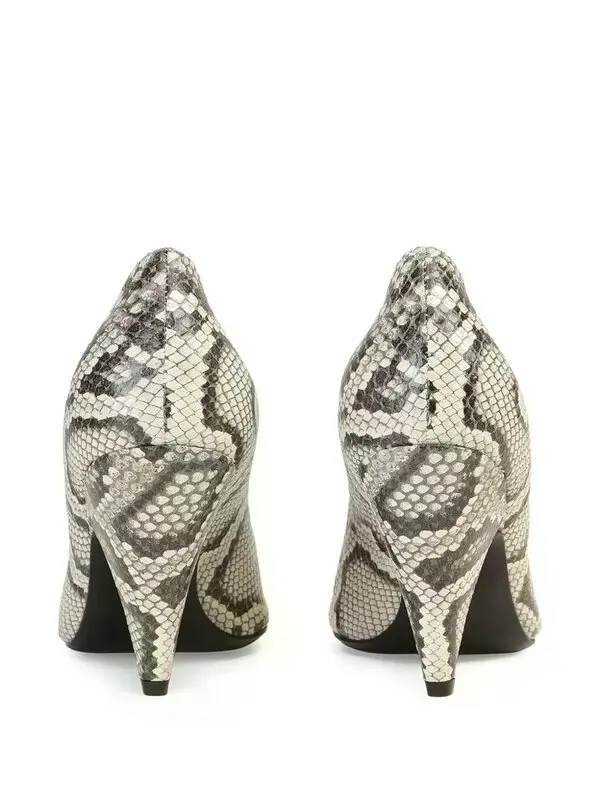 SERGIO ROSSI Beak Pointed-toe Pumps - Neutrals