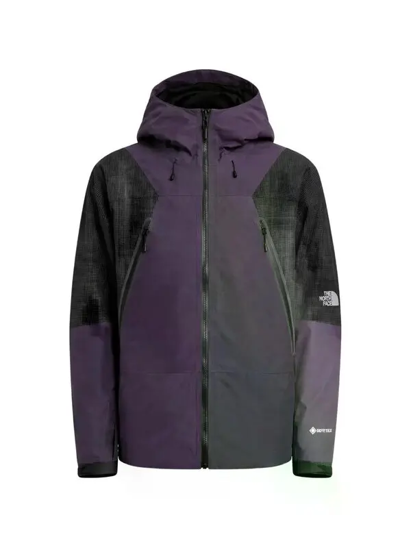 The North Face Mountain Hooded Jacket