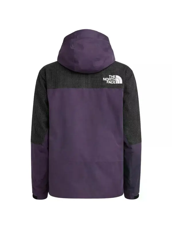 The North Face Mountain Hooded Jacket