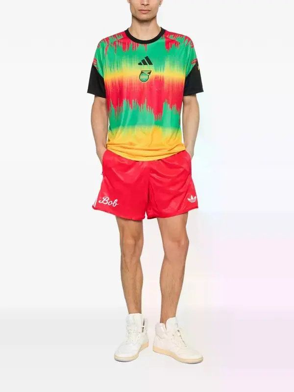 Adidas Stripe Track Shorts