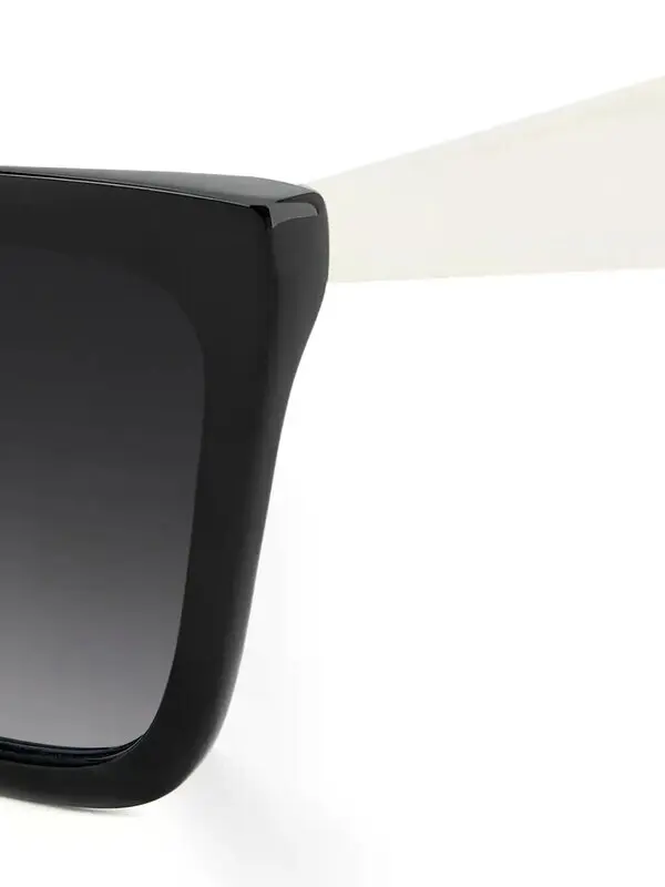 Carolina Herrera Cat-eye Frame Sunglasses