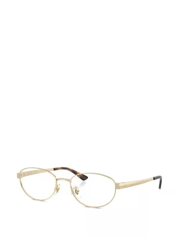 Ray-ban Oval-frame Glasses