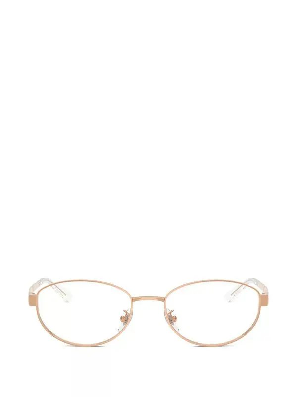 Ray-ban Oval-frame Glasses