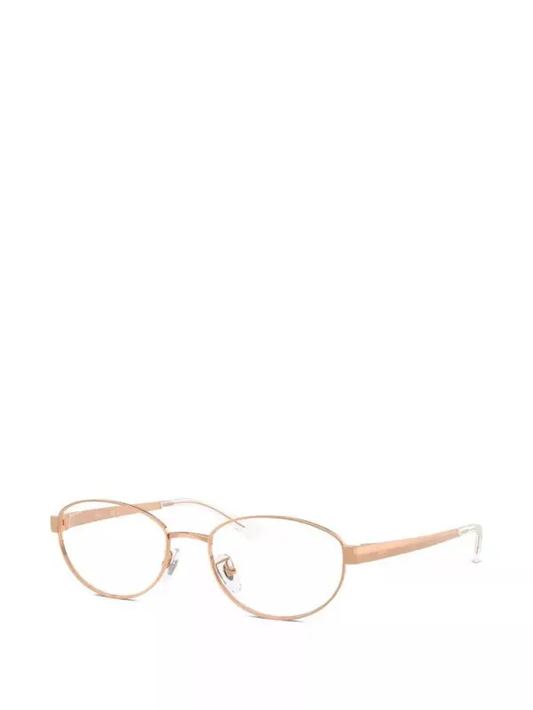 Ray-ban Oval-frame Glasses