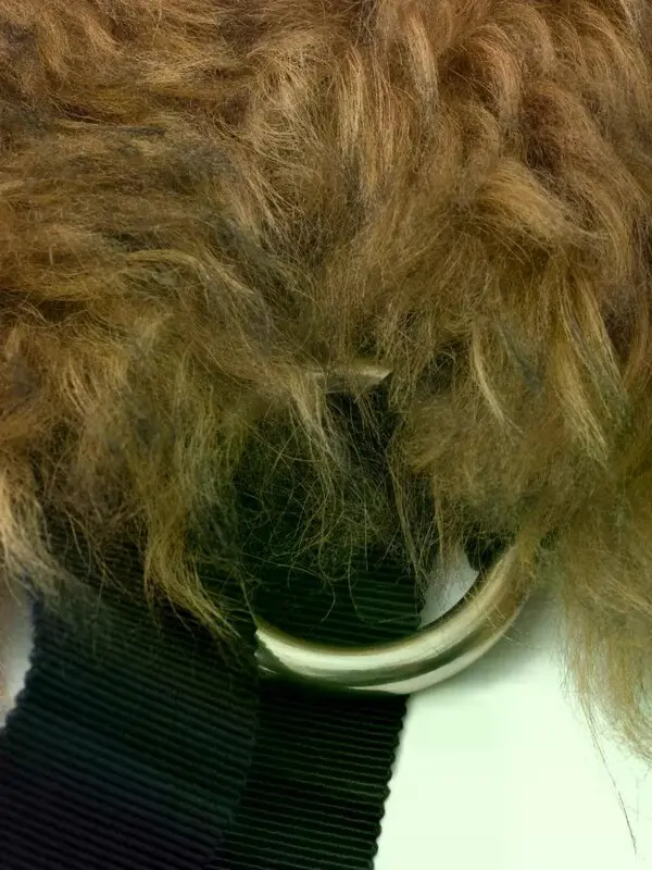 Prada Shearling Collar - Brown