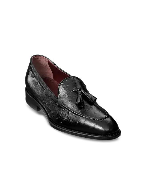 PAUL FREDRICK Stuart Tassel Loafer