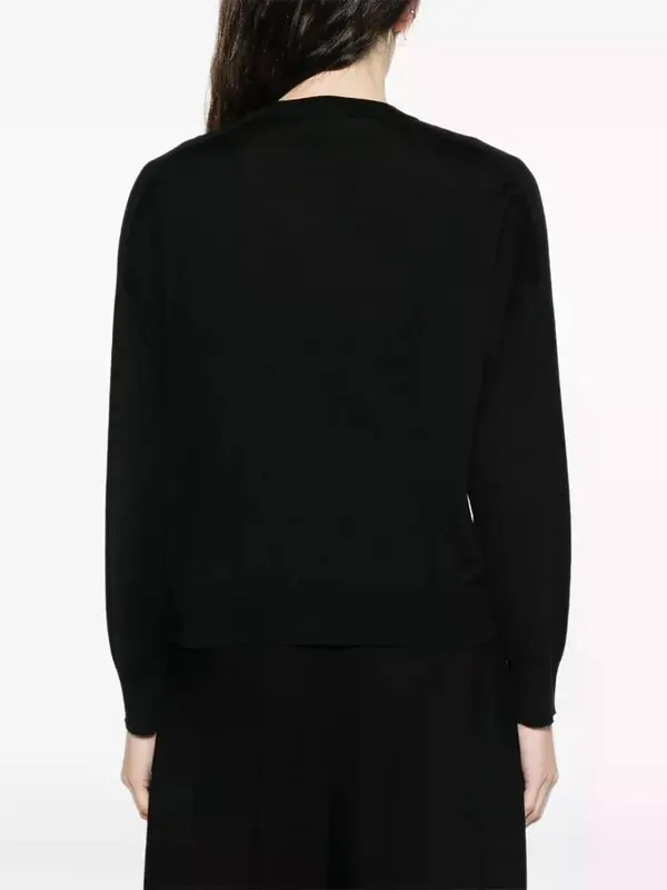 Peserico V-neck Long-sleeve Sweater