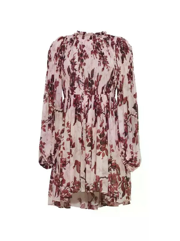 Cara Cara Weston Ruffled Mini Dress