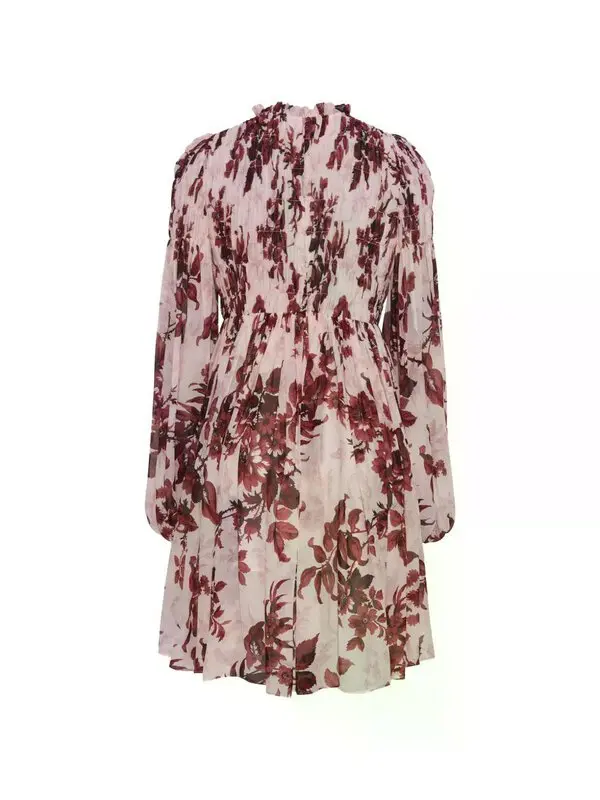 Cara Cara Weston Ruffled Mini Dress