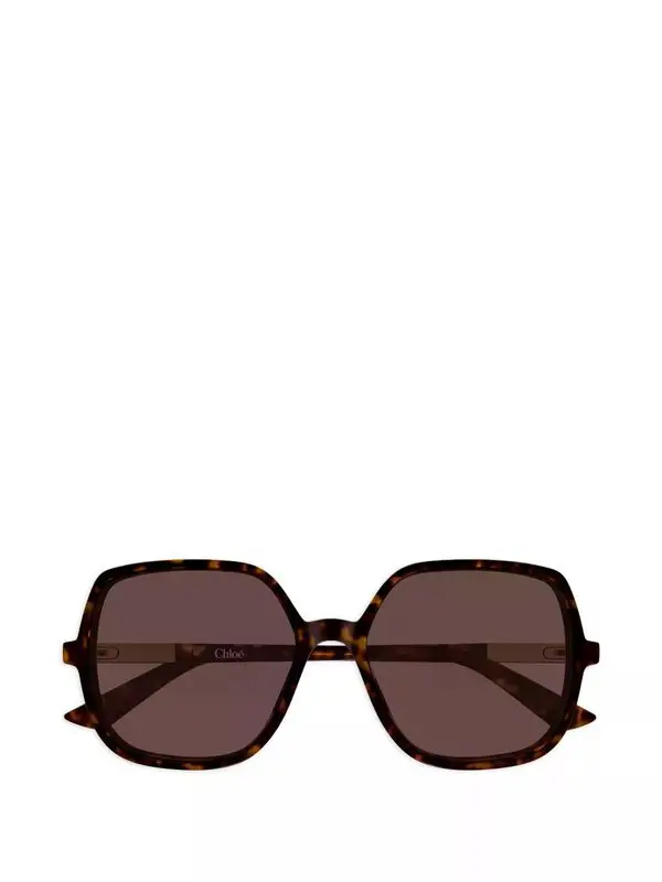 Chloé Oversized Brown Lens Geometrical Acetate Sunglasses - Havana-havana-brown