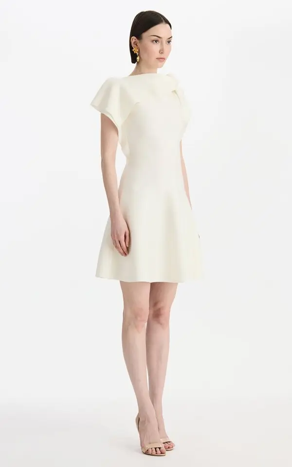 Oscar De La Renta Draped Mini Dress