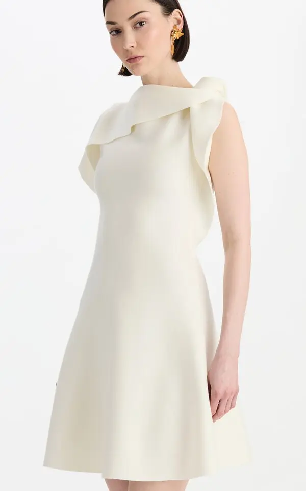 Oscar De La Renta Draped Mini Dress