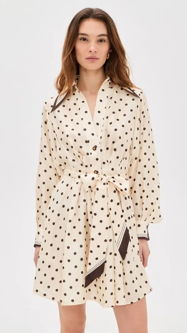 Zimmermann Dot Tuck Mini Dress