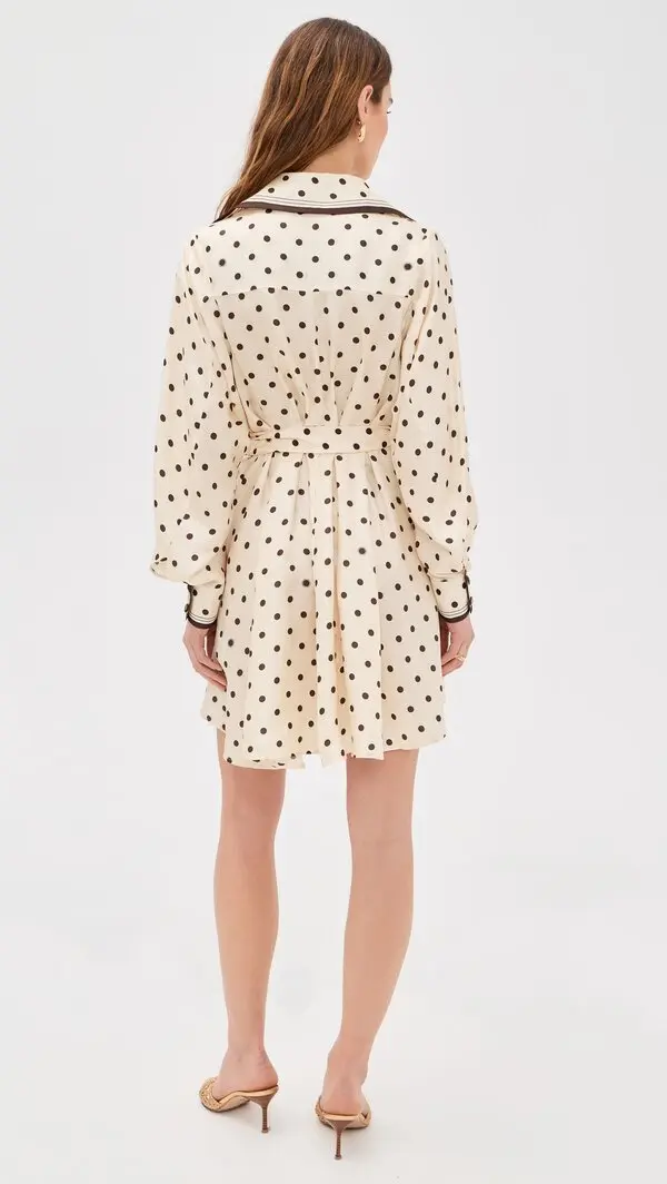 Zimmermann Dot Tuck Mini Dress