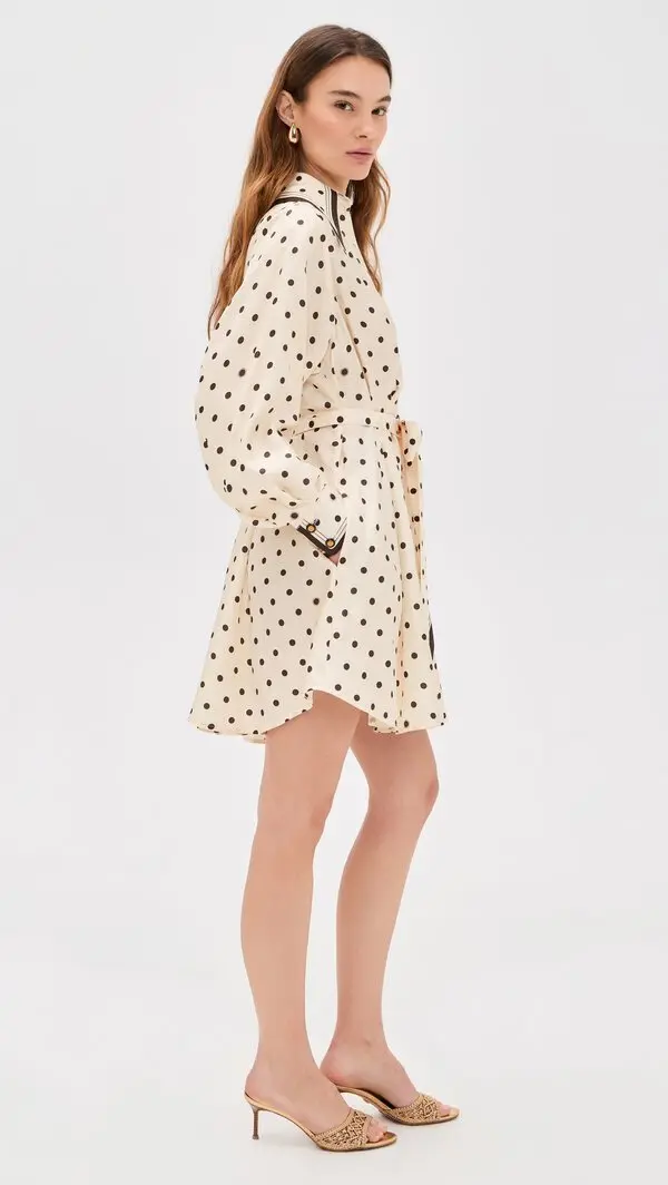 Zimmermann Dot Tuck Mini Dress