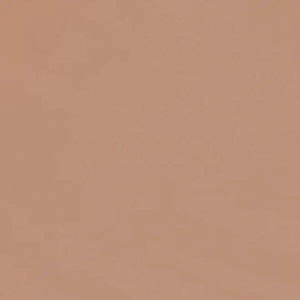 Chanel Les Beiges Water Fresh Complexion Touch - Nude