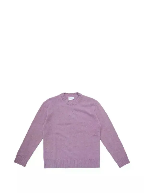 DIANA STUDIO Crew-neck Ribbed Sweater - Pink