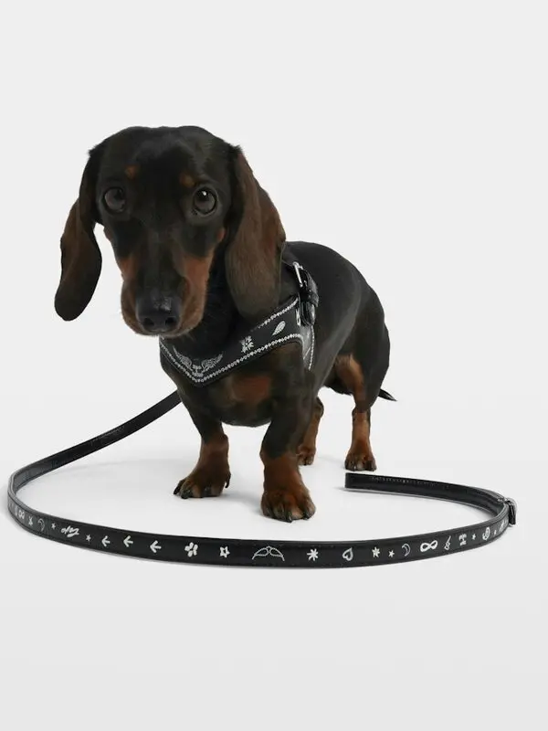 Zadig&Voltaire Leather Dog Leash